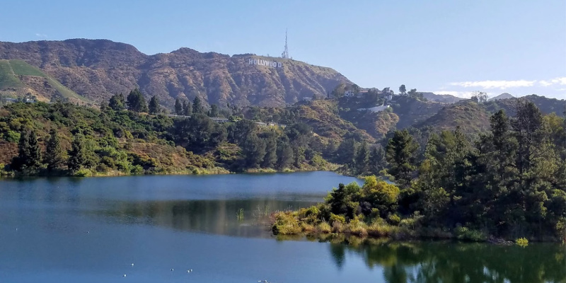 Discover the Urban Lakes of Los Angeles for Serene Escapes