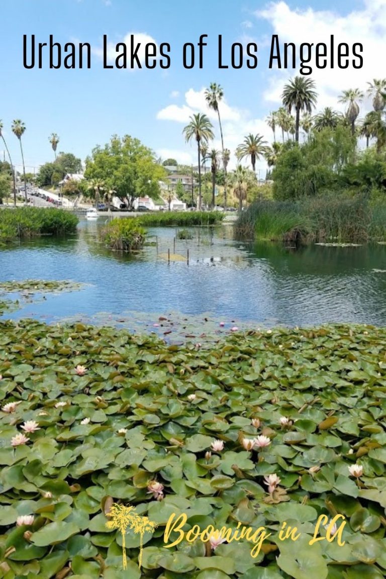 Discover the Urban Lakes of Los Angeles for Serene Escapes
